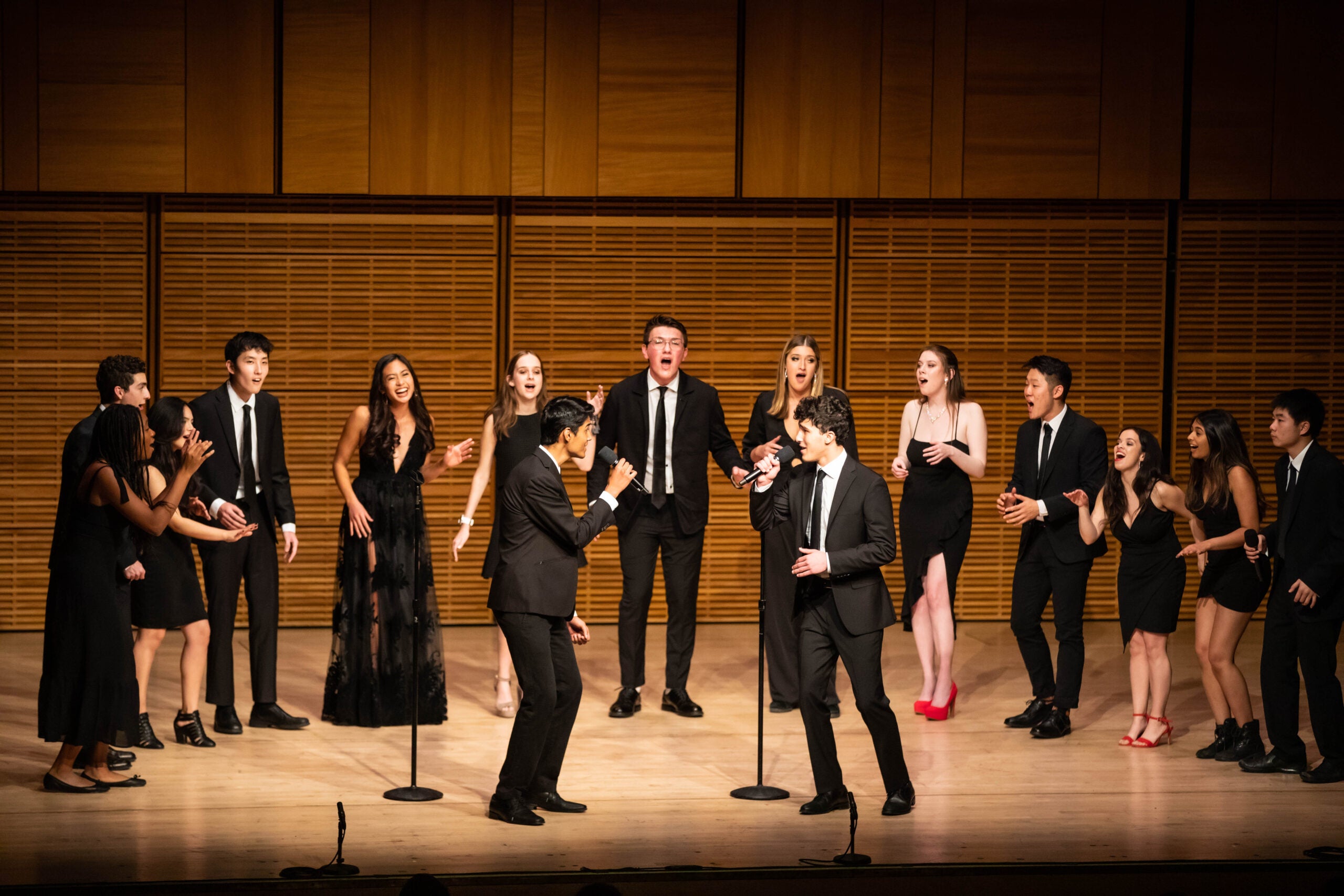 Performing Arts Groups - Platt Performing Arts House